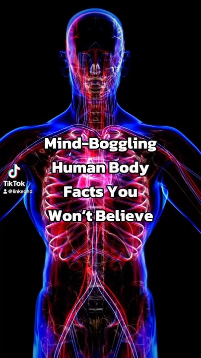 Mind-Boggling Human Body Facts You Won’t Believe #mindblown #facts #science #humanbody # ...