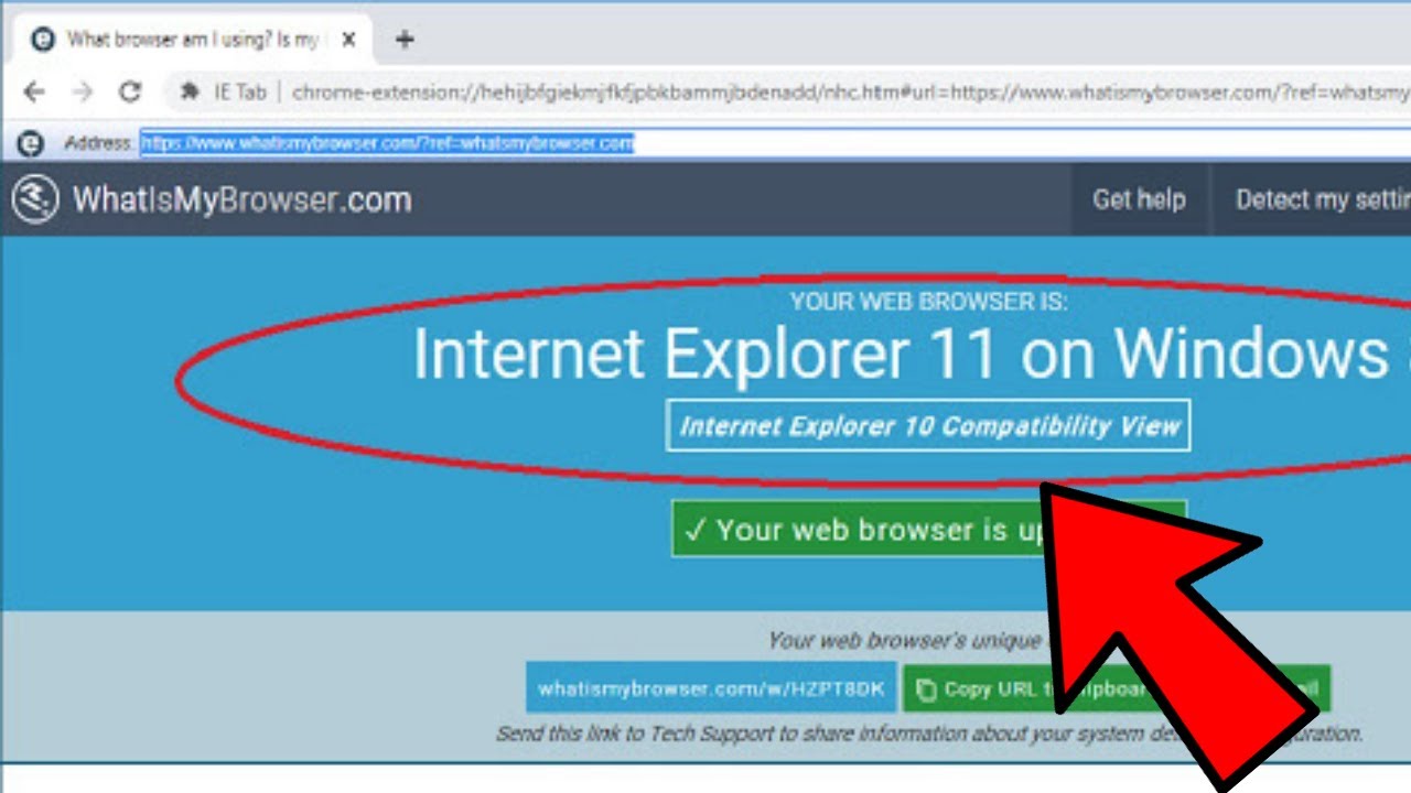How to Get Internet Explorer on Your Chrome Browser in (2022) - YouTube