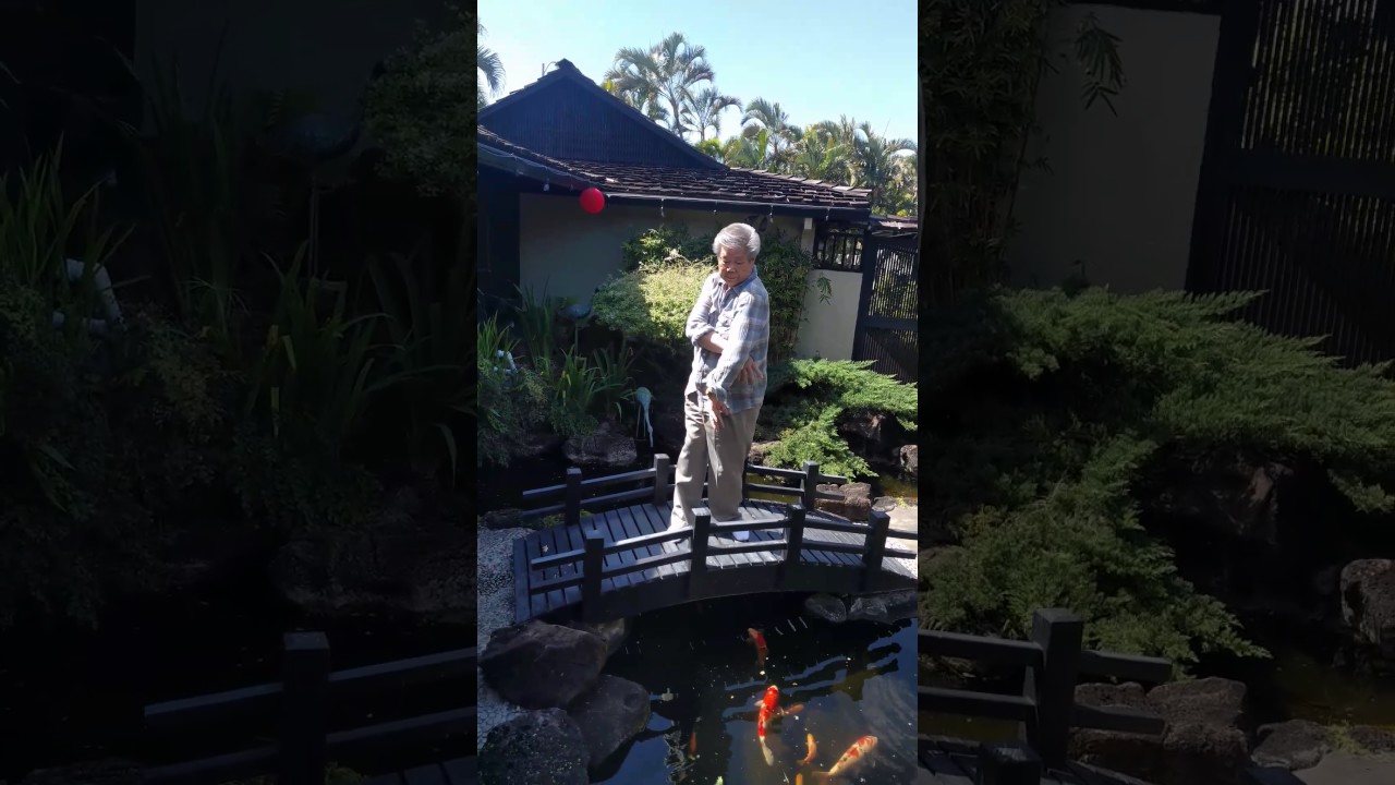 Water Tai Chi ( 水性太極 ) - YouTube