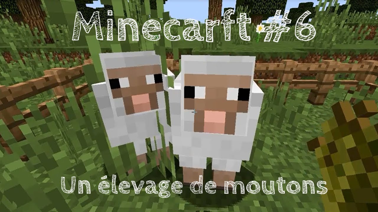Minecraft Survie #6 - Un élevage de moutons - YouTube
