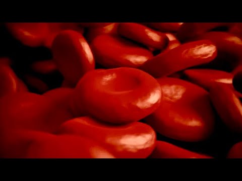 RH NEGATIVE BLOOD; The Mystical & Divine Connection To Ancient Bloodlines Or Alien Intervention ...