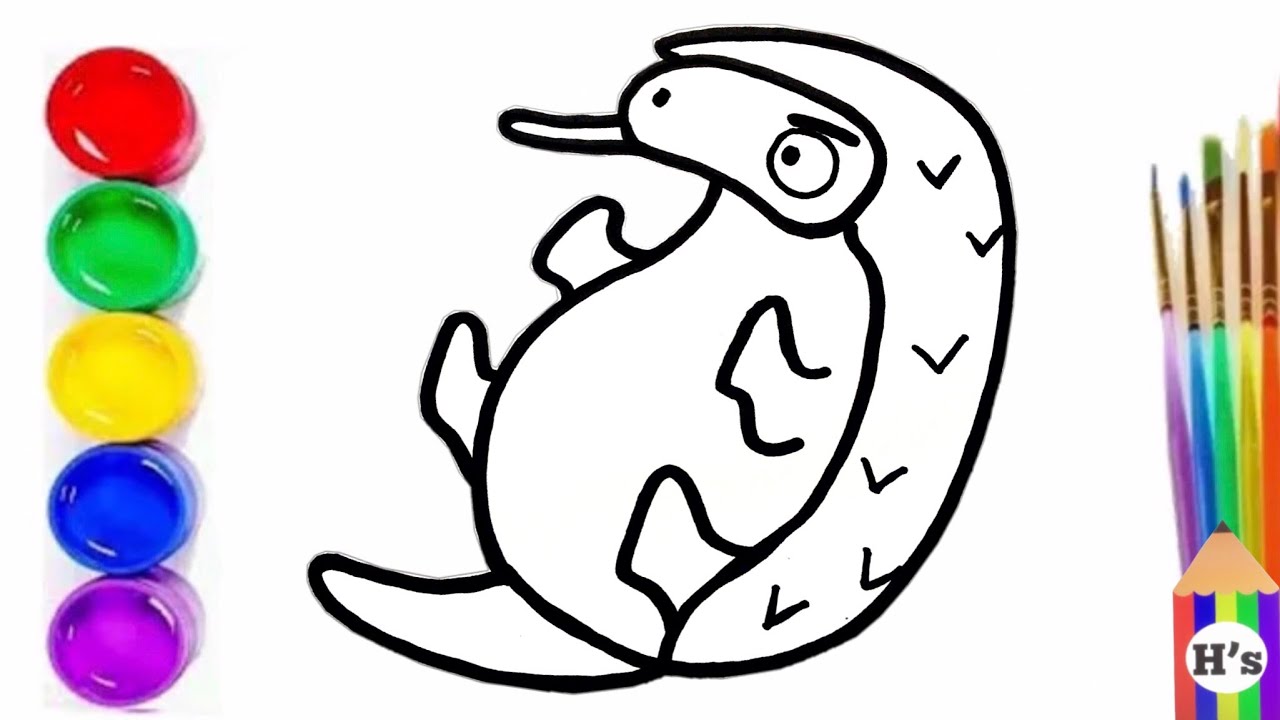 How To Draw an Armadillo | Pangolin | Ant Eater | Cara Menggambar ...