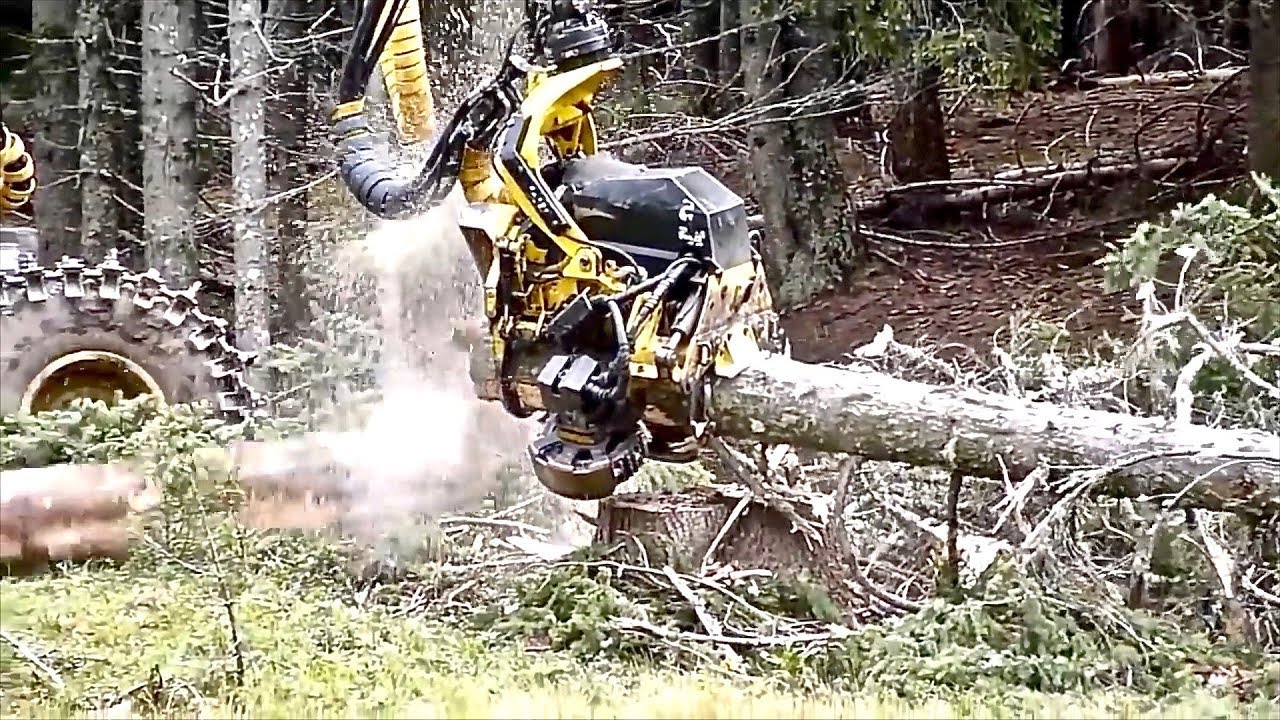 Monster Robotic Tree Cutting Lumberjack - Ponsse Scorpion King - YouTube