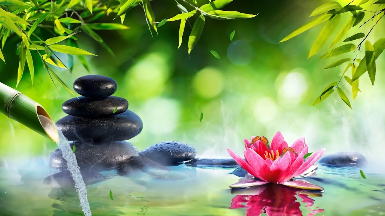 Relaxing Music 24 hour, Stress Relief Music, Meditation, Spa, Sleep ...