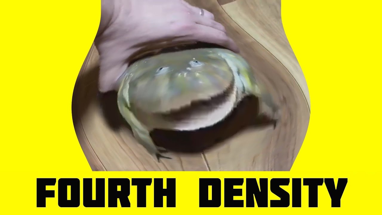Frog 2 Fourth Density Meme #FDMEME - YouTube