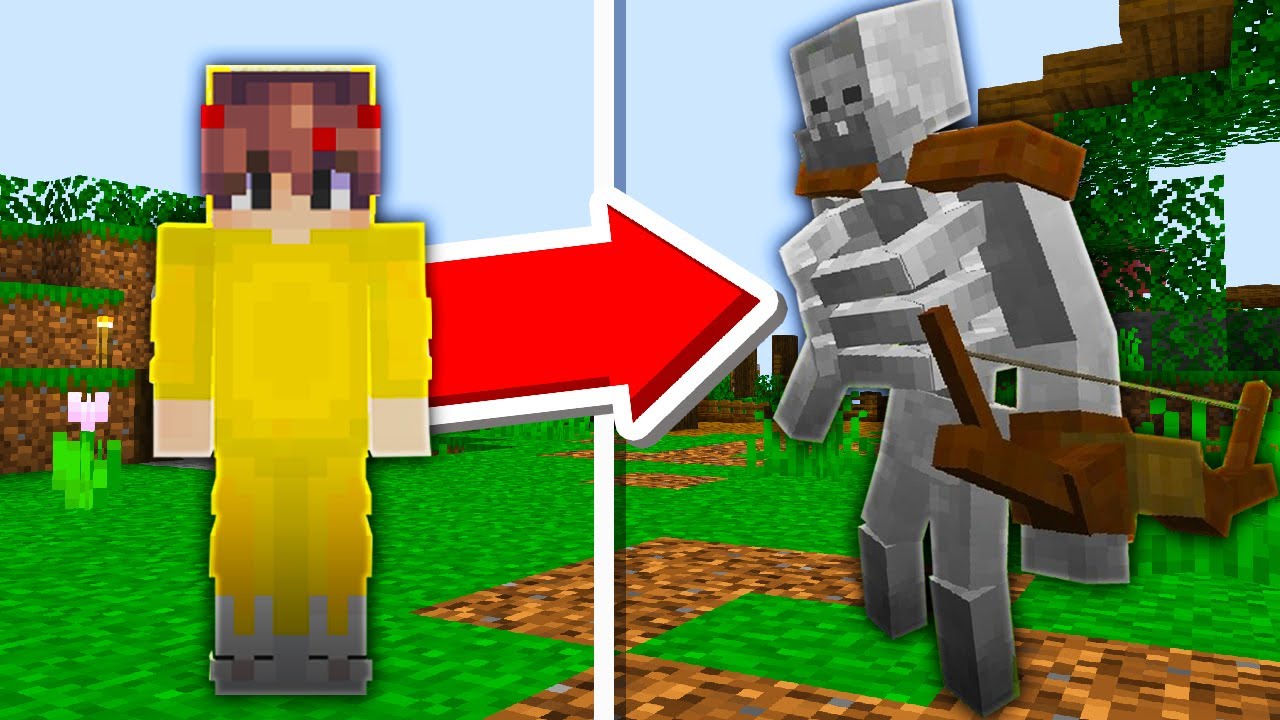 I Pranked My Friend With a Morphing Mod in Minecraft - YouTube