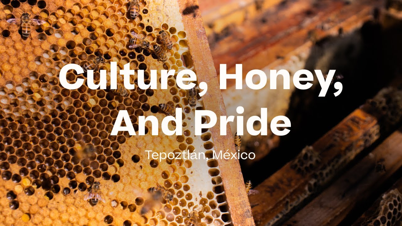 A Beekeeping family from Tepoztlán, Mexico, and their dedication for ...