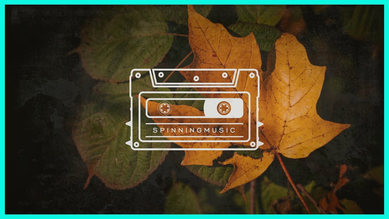 Foreign Forest - Daydreaming (lyrics) - YouTube