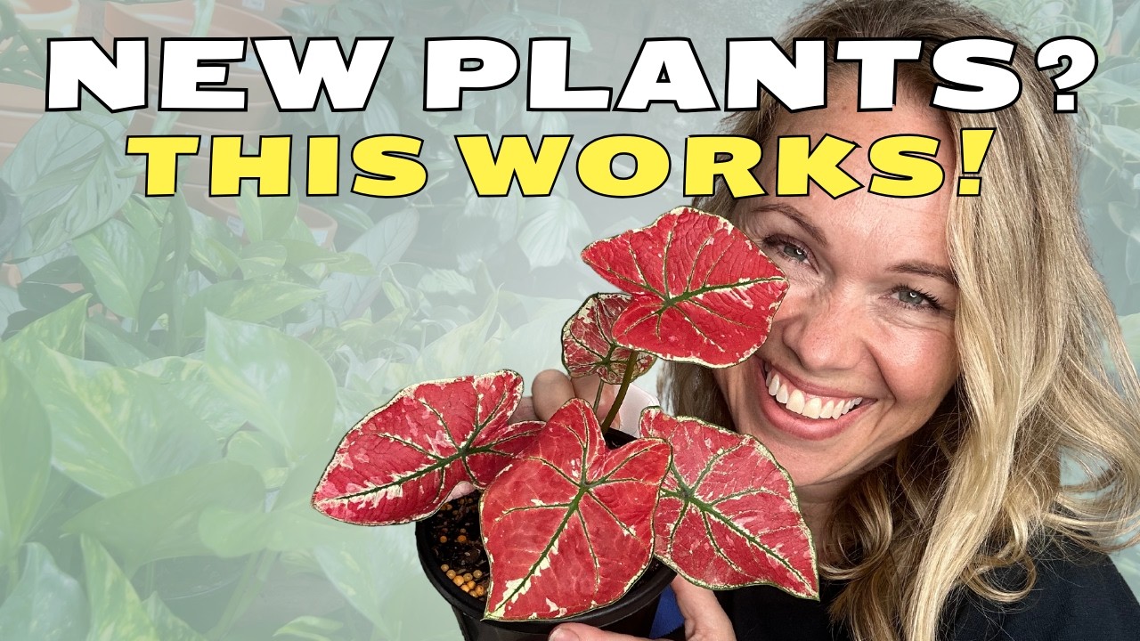 The Secrets to Keeping New Plants Alive (My Proven Routine!) - YouTube
