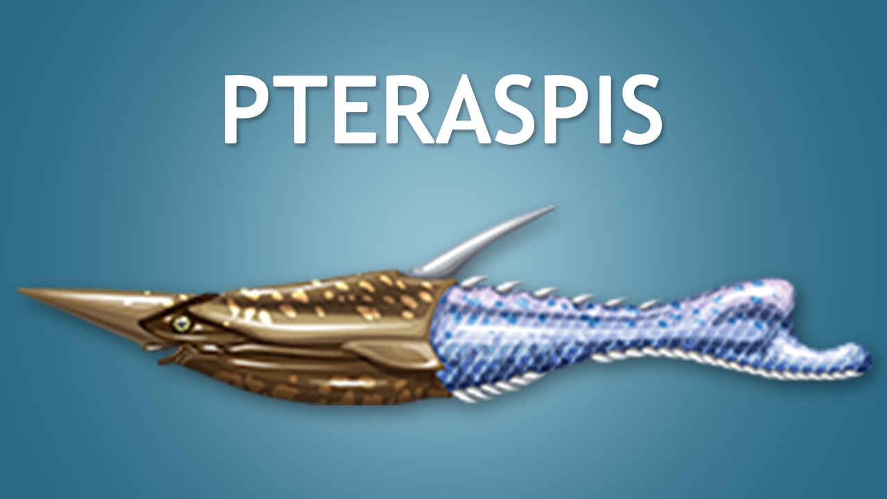 Elltharis - PTERASPIS (5★) - YouTube