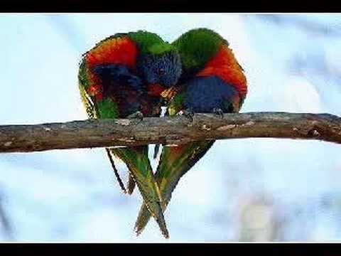 sevgiler unutulmaz sevgililer oldukça...