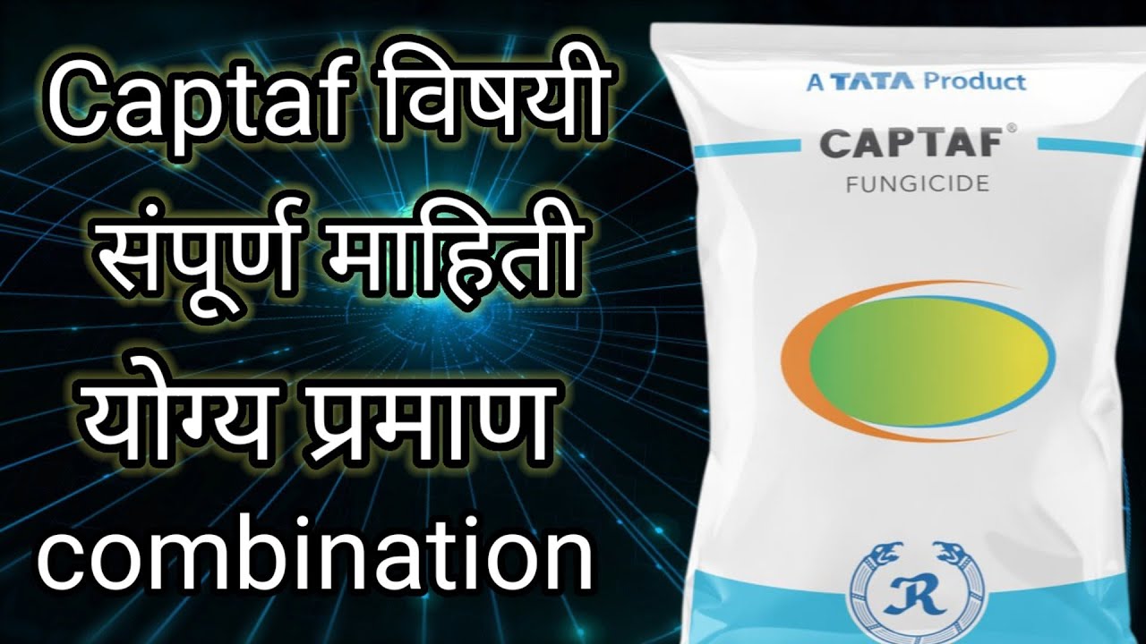 Captaf fungicide | captan 50% wp | tata rallies fungicide|captaf dose ...