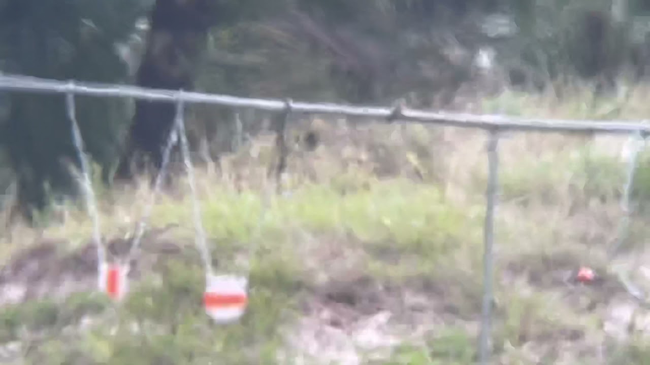 4 inch gong at 400 yards (another oops) - YouTube