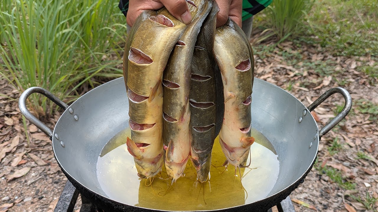 Deep Fried Catfish Recipe | Crispy Fried Catfish | Catfish and Pickled ...