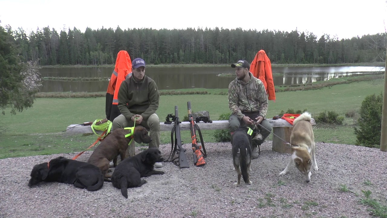 Presentation Eftersök Felix & Henke - YouTube