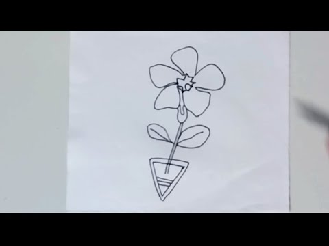 how to draw simple and easy twinkle flower Outline drawing step by step ...