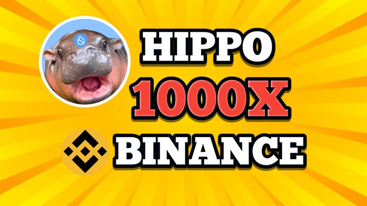🎊SUDENG ($HIPPO) COIN PREDICTION || BINANCE SPOT LISTING || 1000X ...