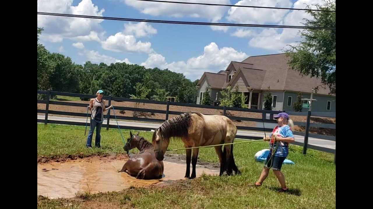 2020 Water Obstacle Clinic at Leatherman Lane with Brock Griffith ...