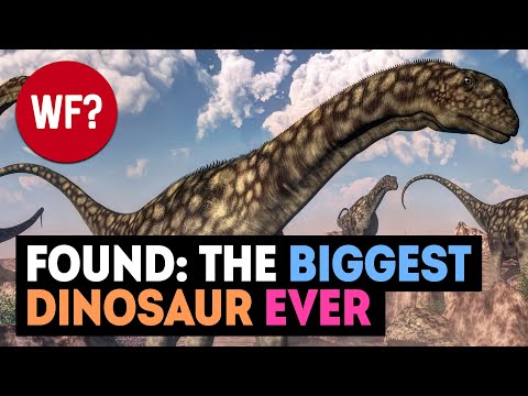 Largest Dinosaur EVER Discovered 😮 | Bigger than Patagotitan Majorum