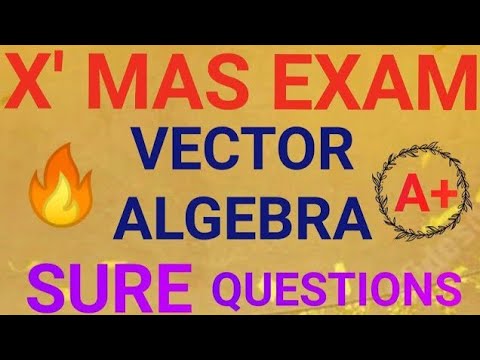 +2 MATHEMATICS//X'MAS EXAM SPECIAL//VECTOR ALGEBRA//SURE QUESTIONS AND ...