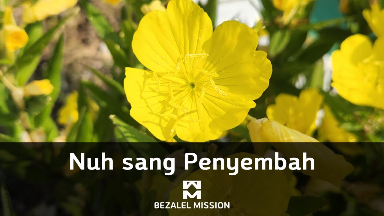 Nuh sang Penyembah (Kejadian 8:13- 22) - YouTube