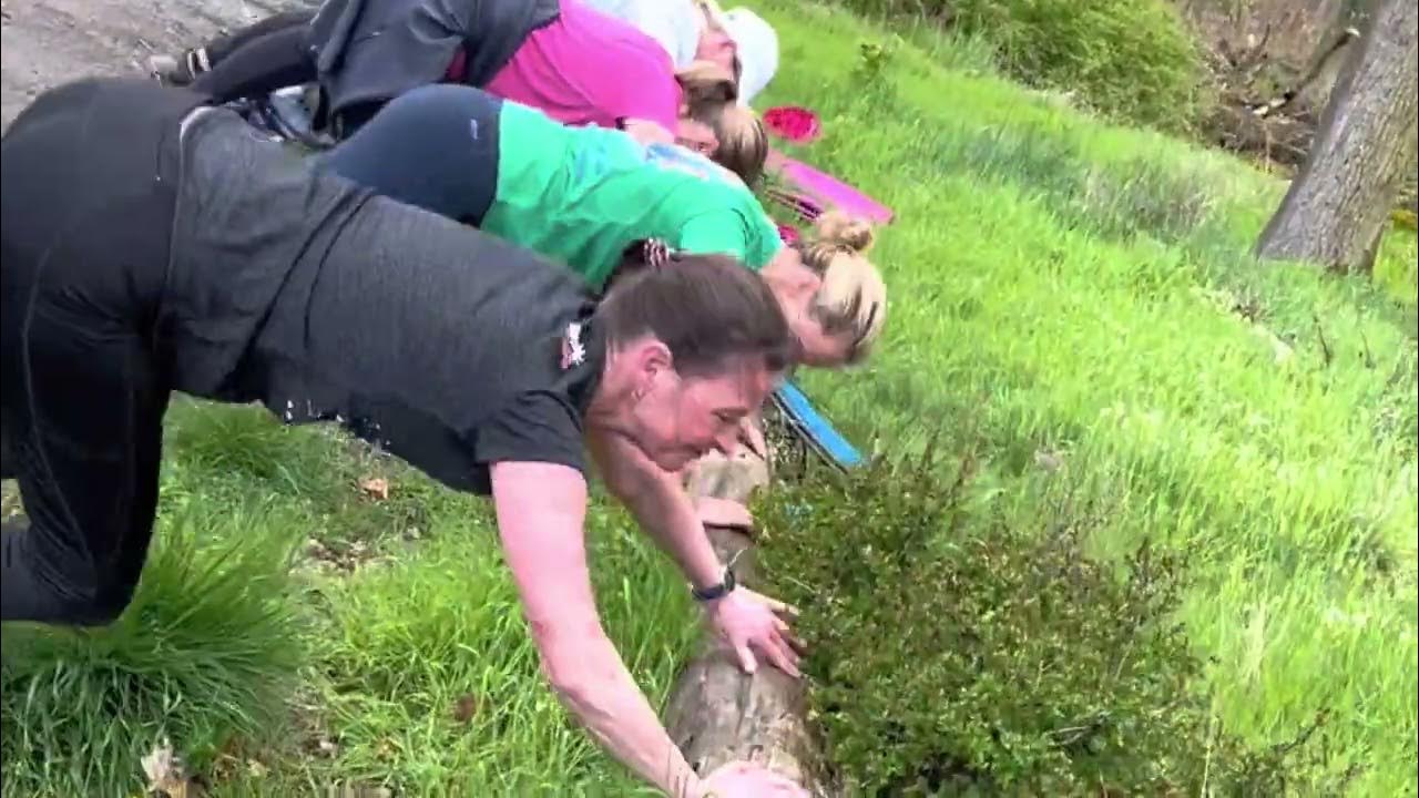 Hopp Hopp am Baumstamm - YouTube