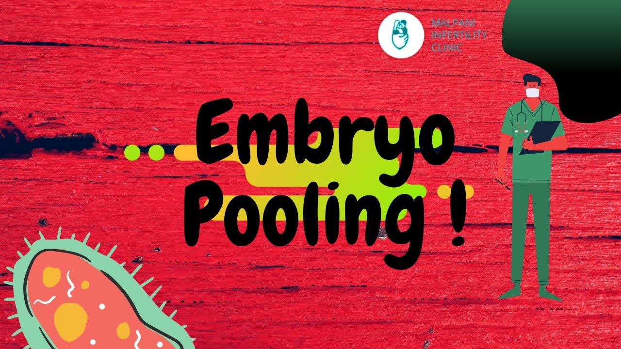 Why should IVF doctor transfer one embryo? Embryo Pooling - YouTube