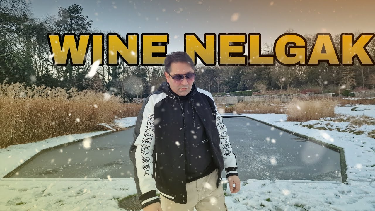 BADRE NAMIR - Wine Nelgak - YouTube