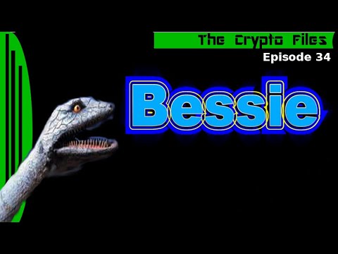 Lake Erie's Enigmatic Beast: New Evidence of a 40-Foot Lake Monster?