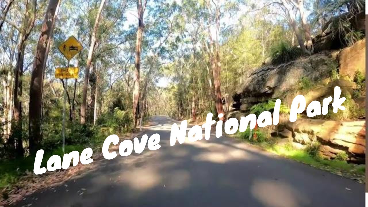 Lane Cove National Park - YouTube
