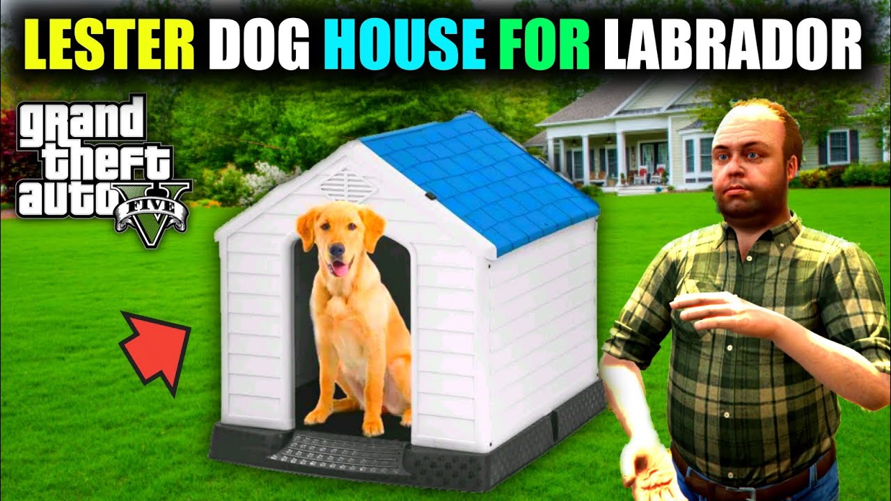 Gta 5 : Franklin Made BEAUTIFUL DOG HOUSE For Lester INTELLIGENT dog ...