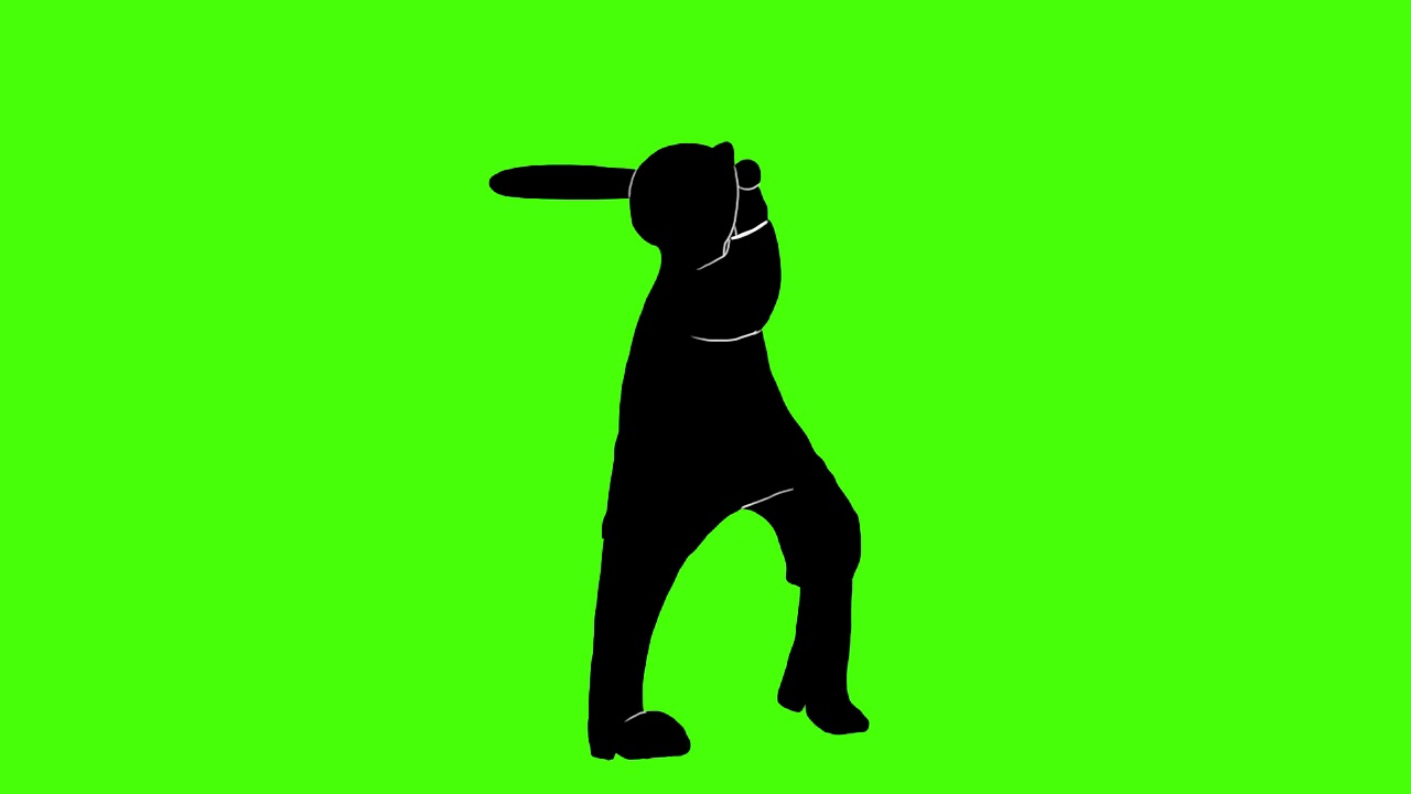 Batter Shadow (Green Screen/ Mask Ready) - YouTube