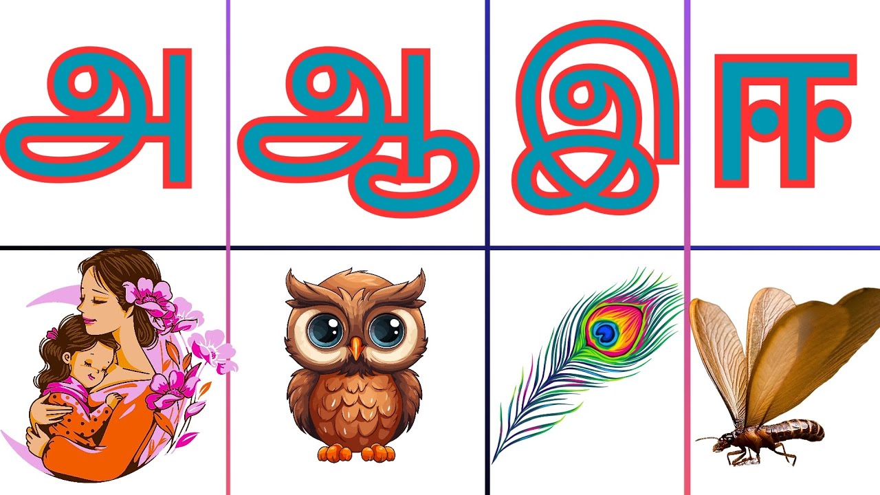 உயிர் எழுத்துக்கள் அ ஆ இ ஈ /A AA E EE / learn tamil alphabets - YouTube