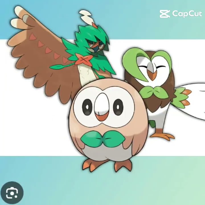 Rowlet - YouTube