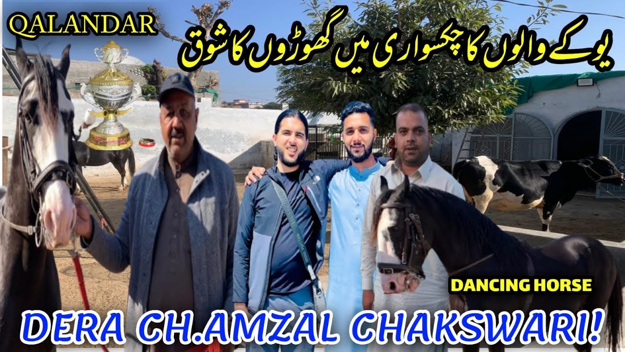 Exploring Chakswari: A Visit to See Chaudry Amzal's Majestic Horse 🐎 ...