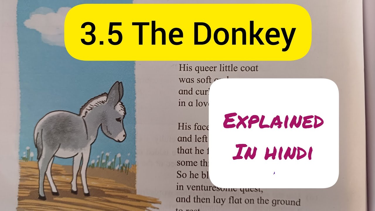6th Std - English - Poem 3.5 The Donkey explained in hindi ...