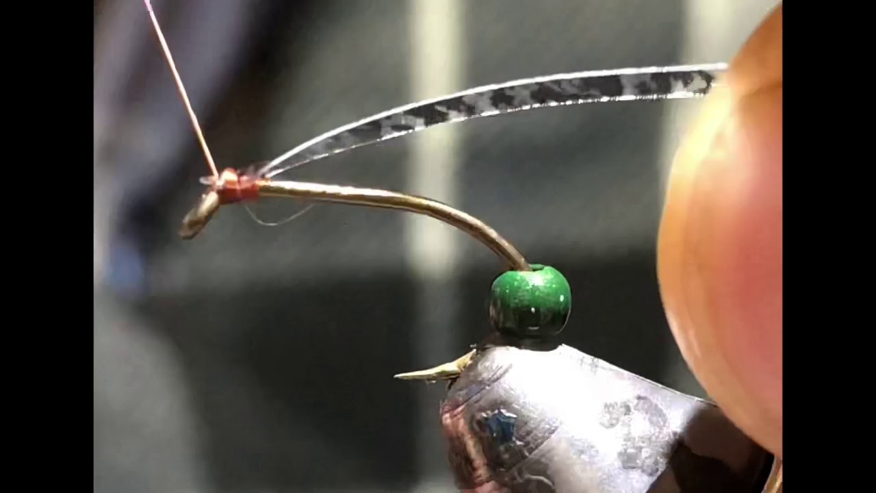 New Zealand mayfly nymph fly tying pattern - YouTube