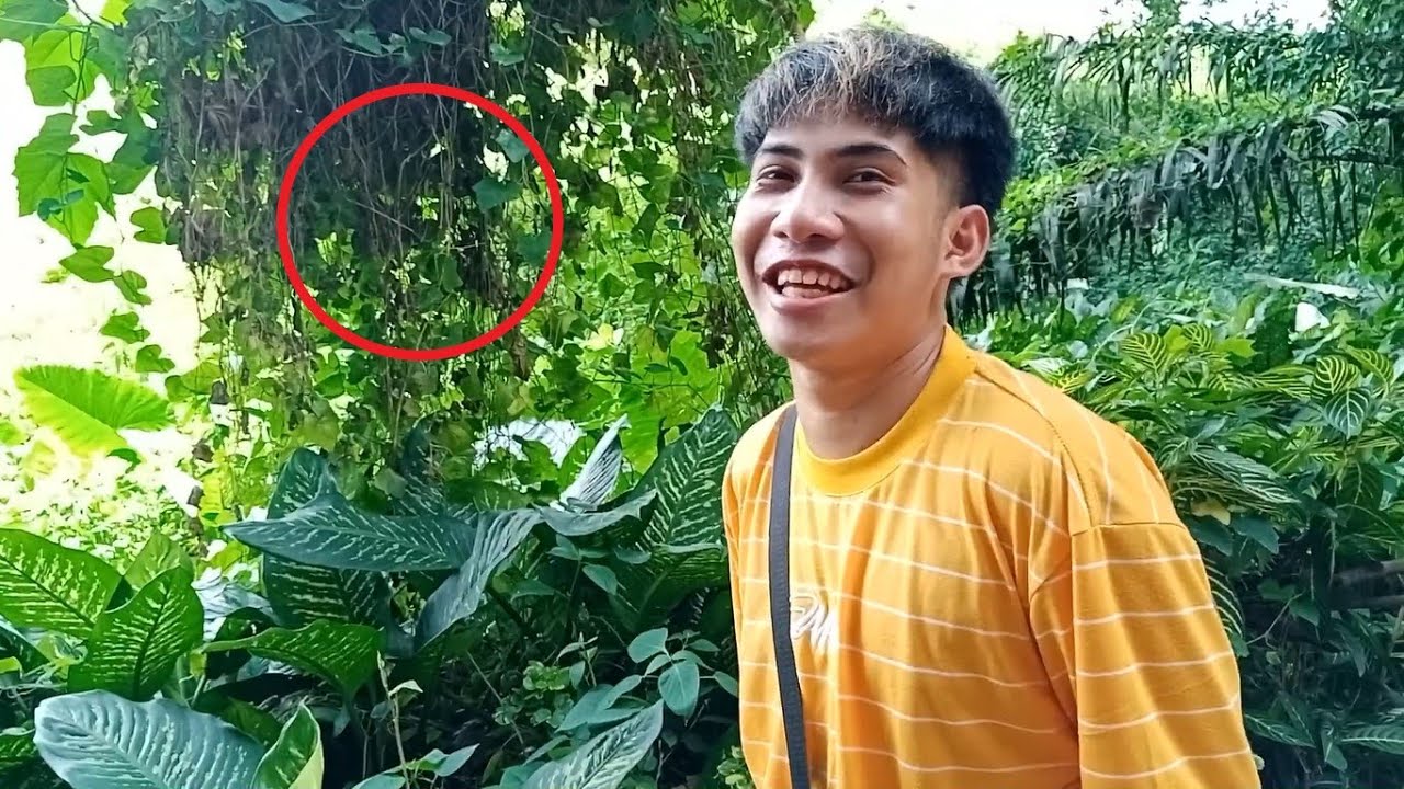 PORTAL NG MGA UNGTA NATAGPUAN? - YouTube