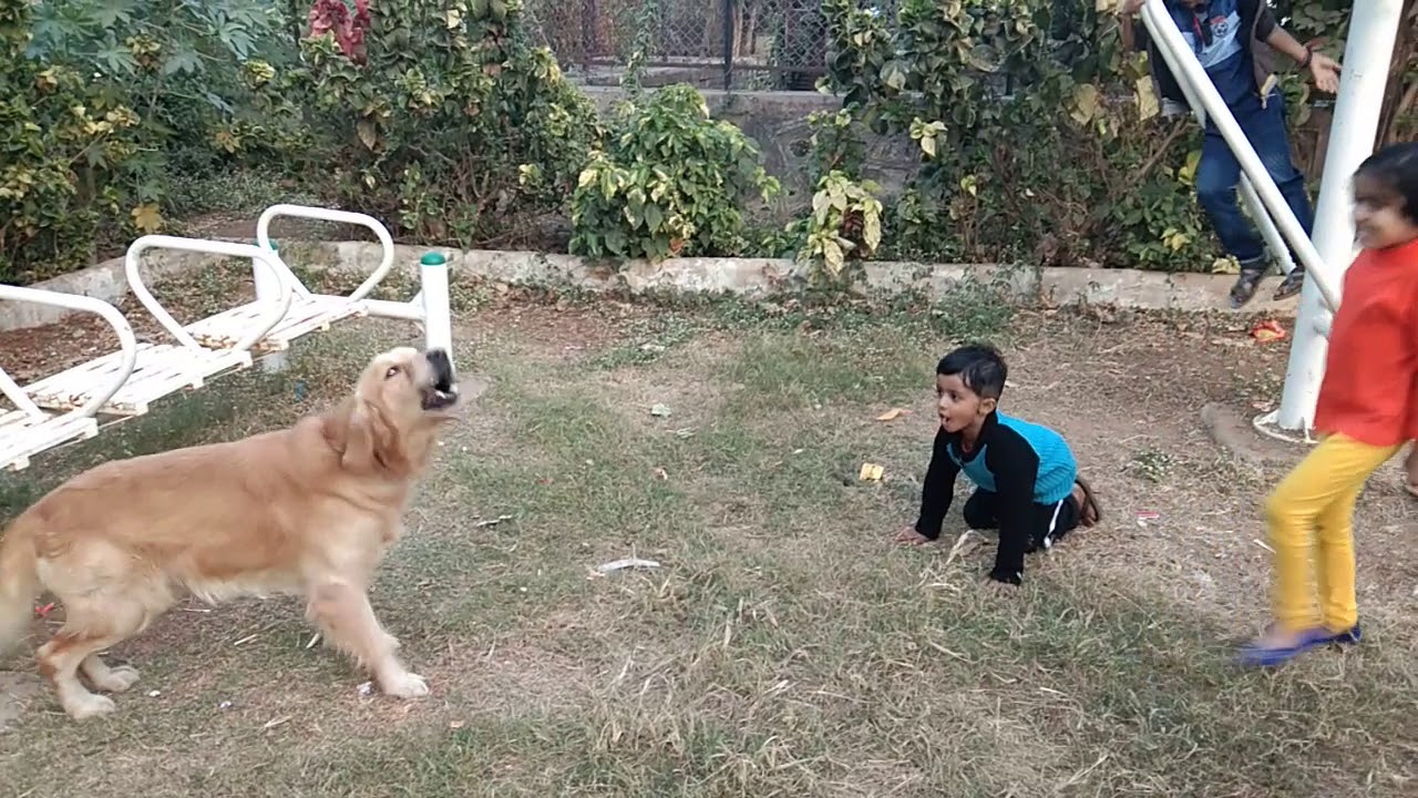 :Child imitating dog....Funny video - YouTube