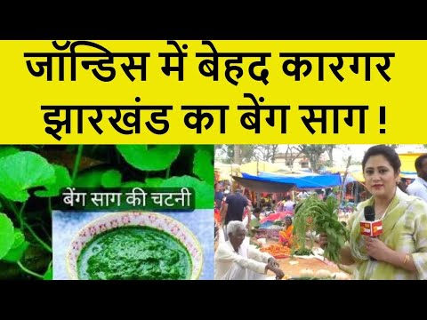 Beng-saag-jeevan-ke-liye ramban-hai More-benefits of-Brng-saag बैंग-साग-खाने का-आयुर्वेदिक-लाभ ...