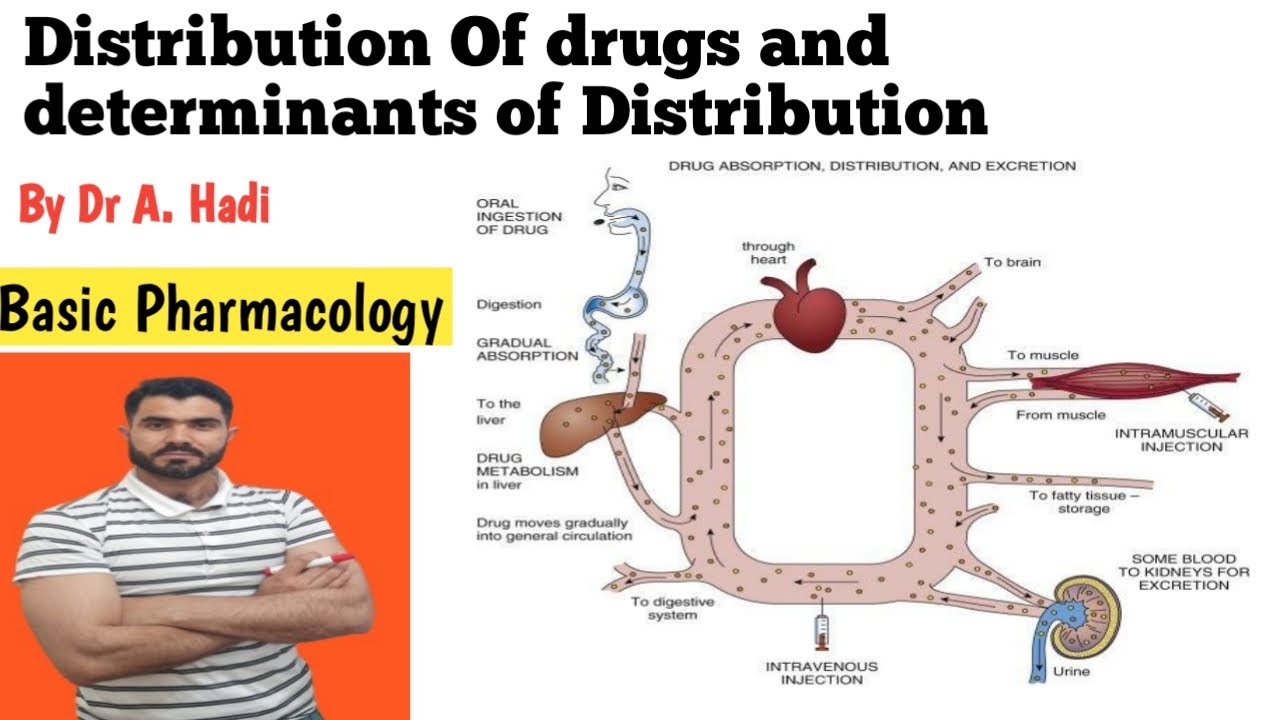 Distribution of drugs and determinants of distribution Basic ...