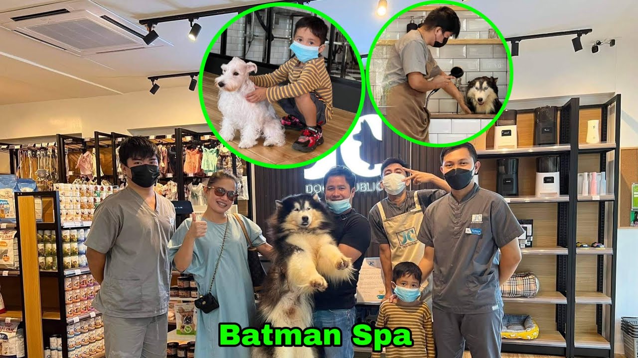 Batman SPA Day @ JC Dog Republic @ Nuvali,Sta Rosa / Raymundo Gfarm # ...