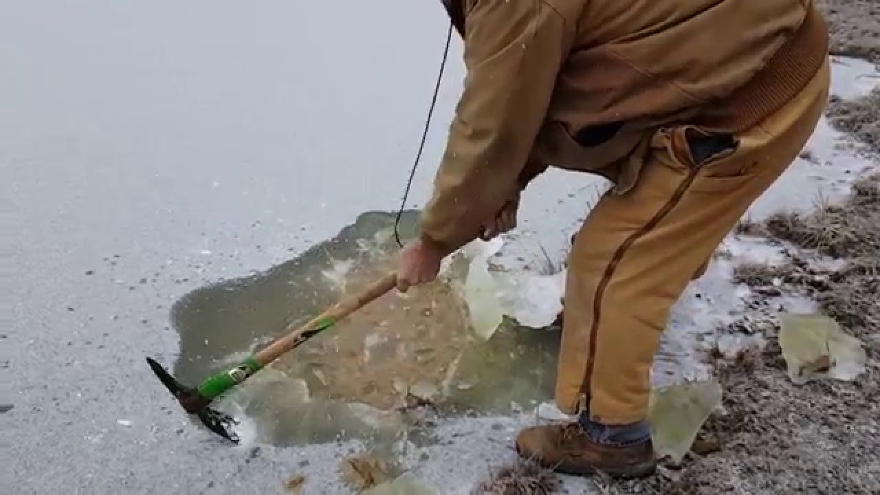 Breaking Ice on the Pond - YouTube