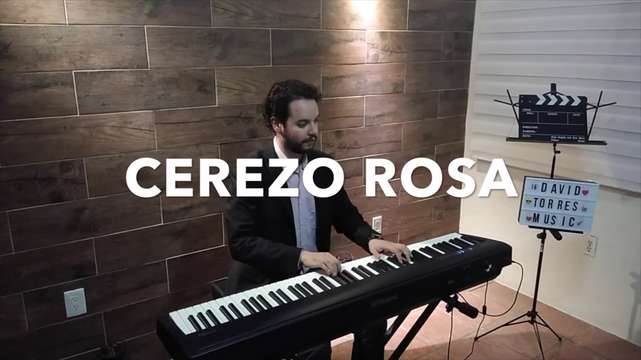 Cerezo Rosa Piano Solo By David Torres - YouTube