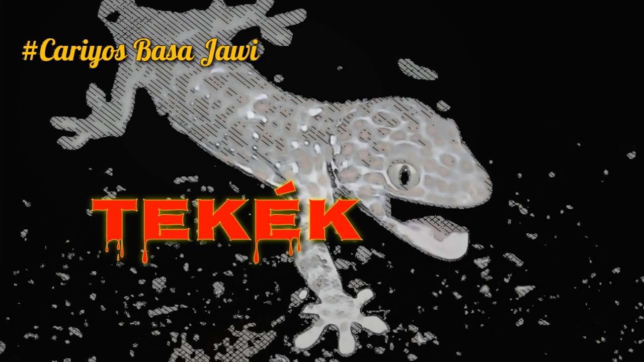 TEKÉK || Cariyos Basa Jawi #podcast #video #story - YouTube