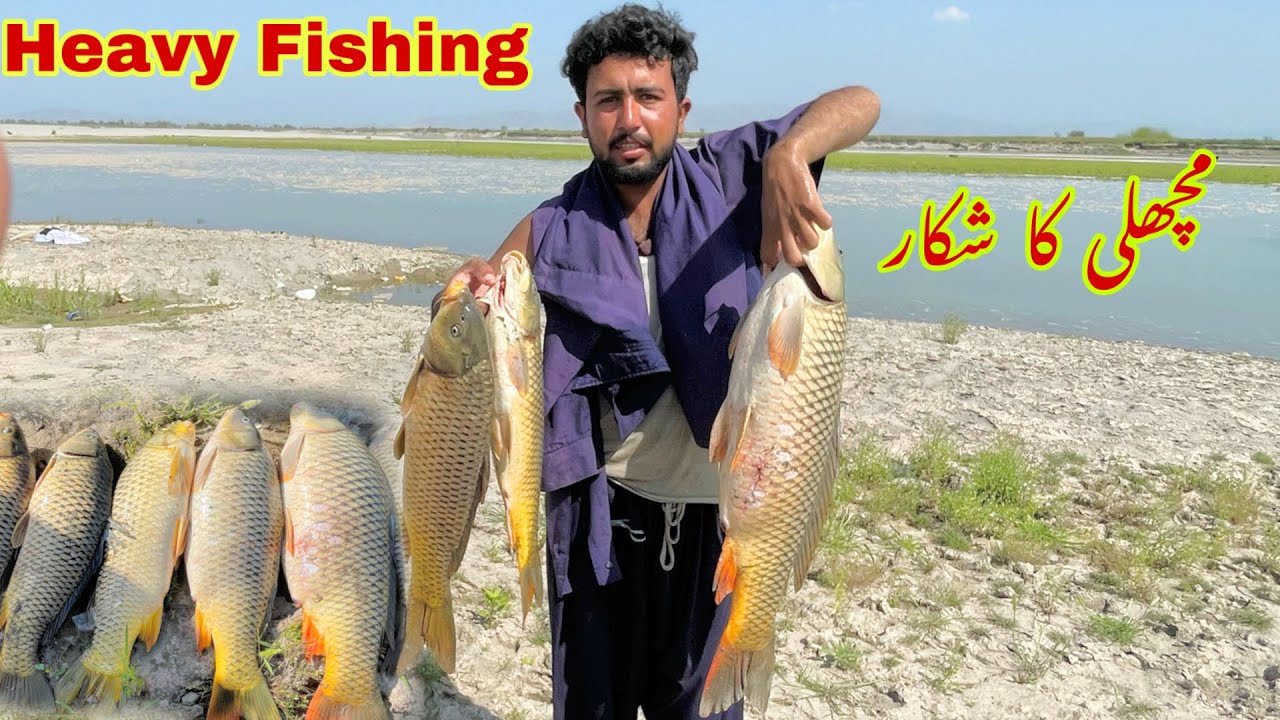 Big Gulfam Fish Hunting 😍| Boht Ziyada Gulfam Fish Pakar Li 🥰 - YouTube