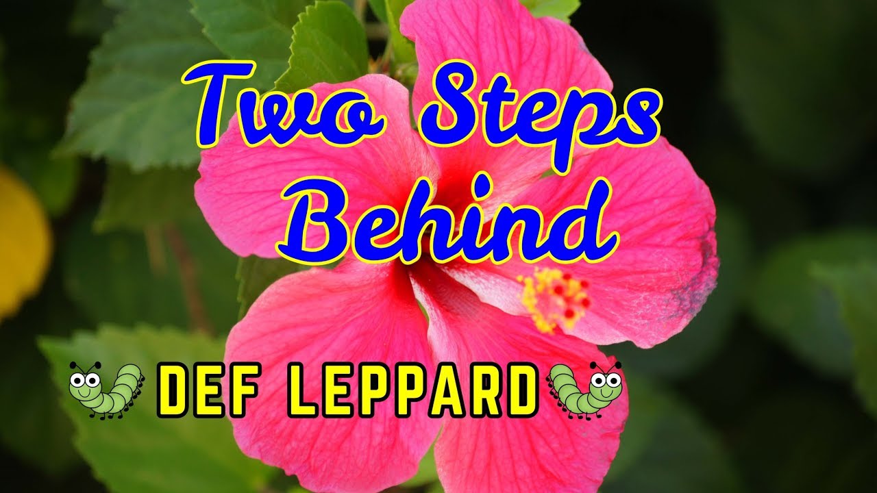 Two Steps Behind - DEF LEPPARD Karaoke HD - YouTube