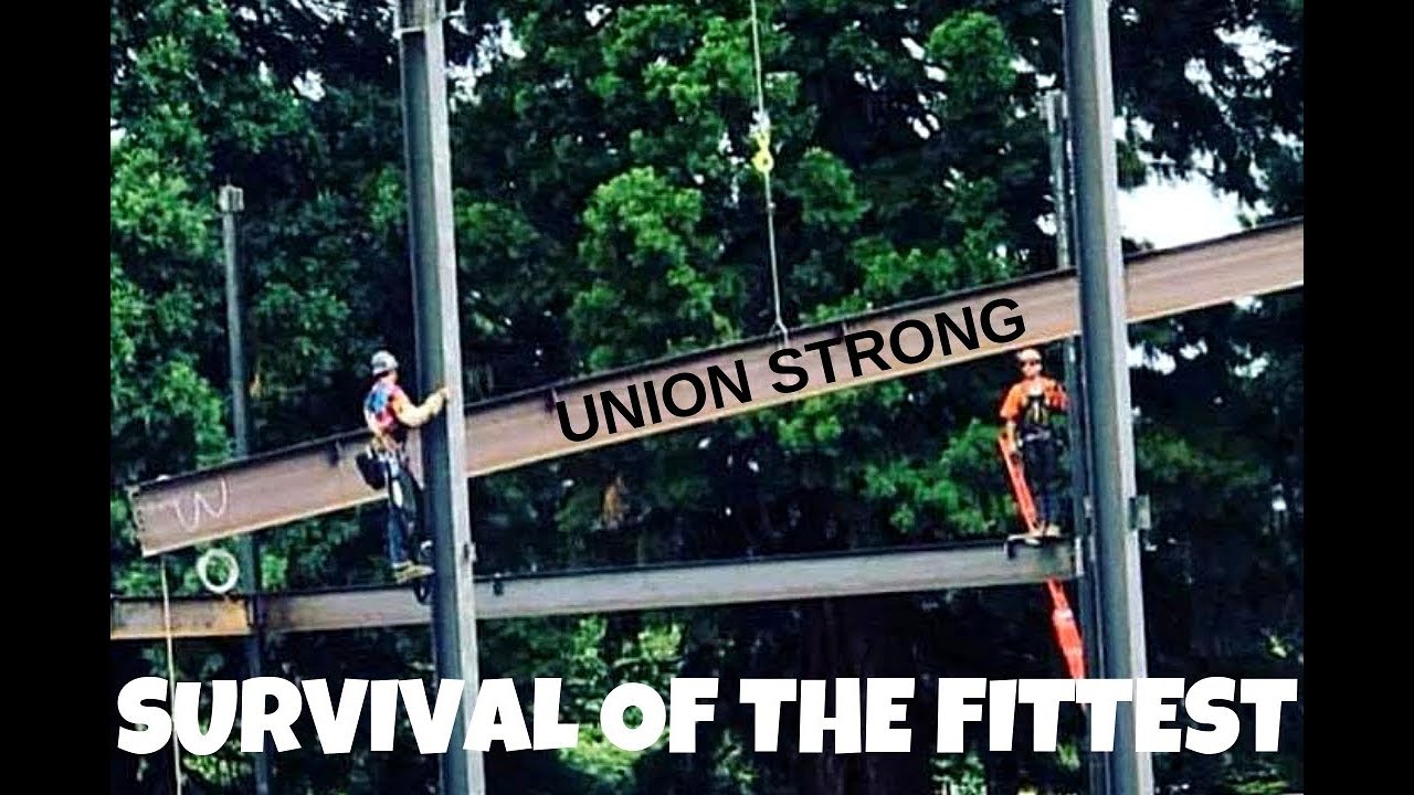 survival of the fittest introduction - YouTube