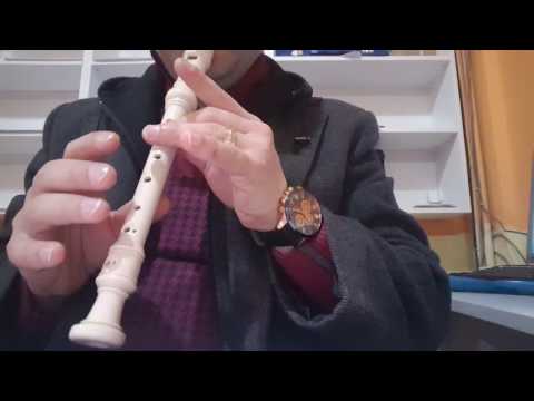 Flüt Eğitimi - Dido Nayino Flüt