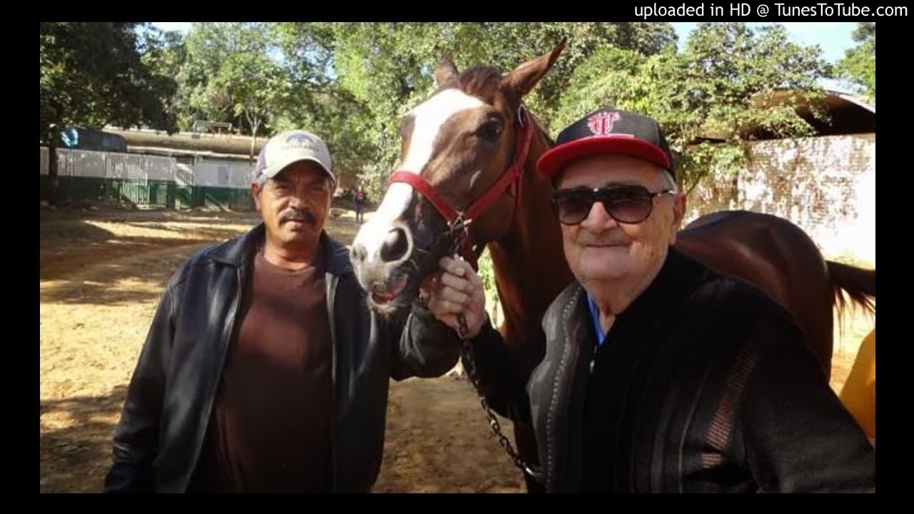 Ángelo Serafini (+): "Soy un caballero de caballos" 10-2-2014 - YouTube